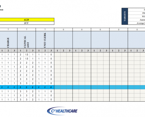 Nursing Staffing Grid – C2 Healthcare